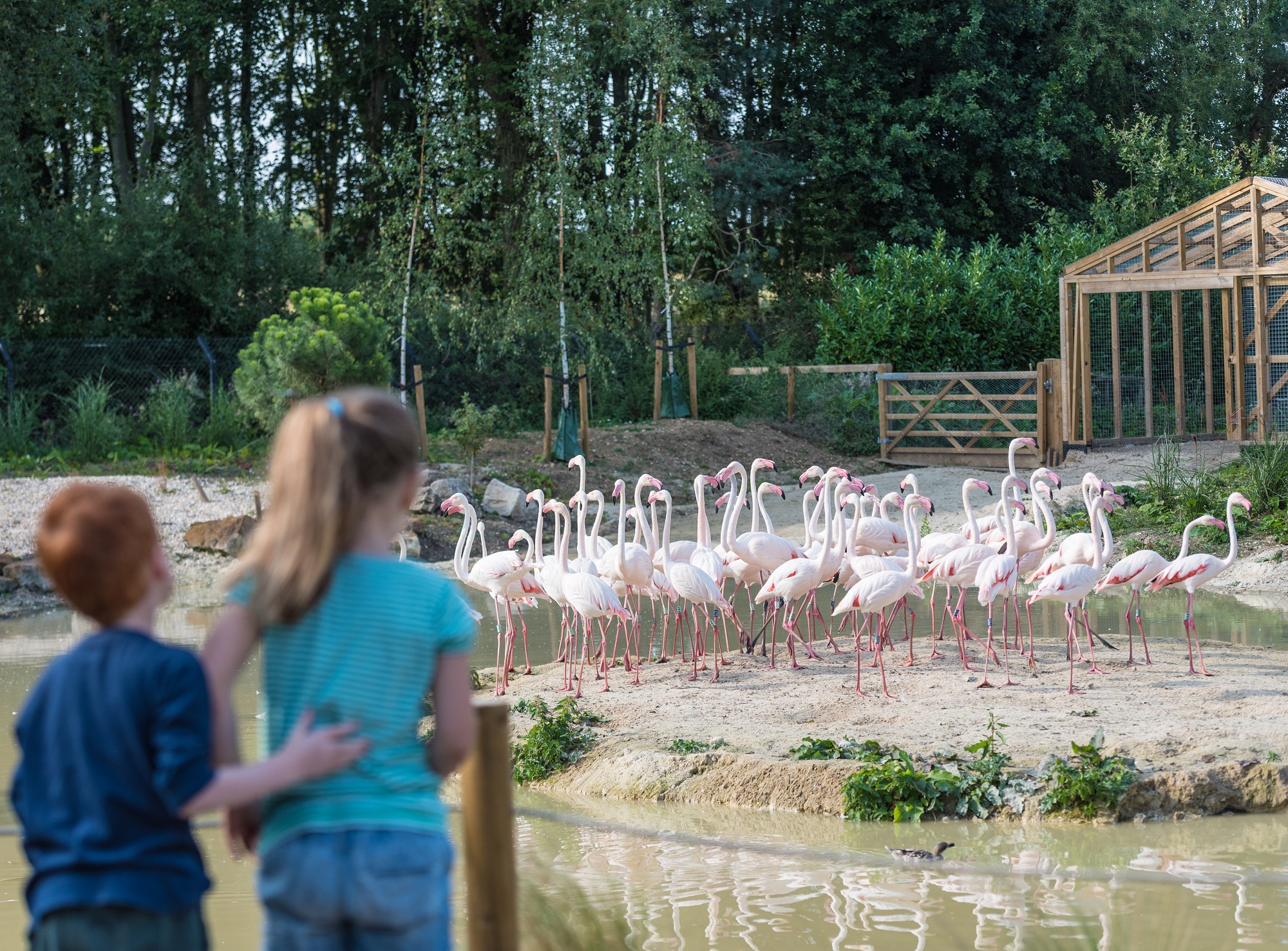 Pensthorpe - Visit Norwich