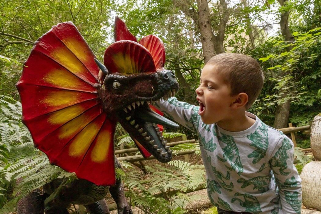 Family Things to Do in Norwich This Easter - Visit Norwich