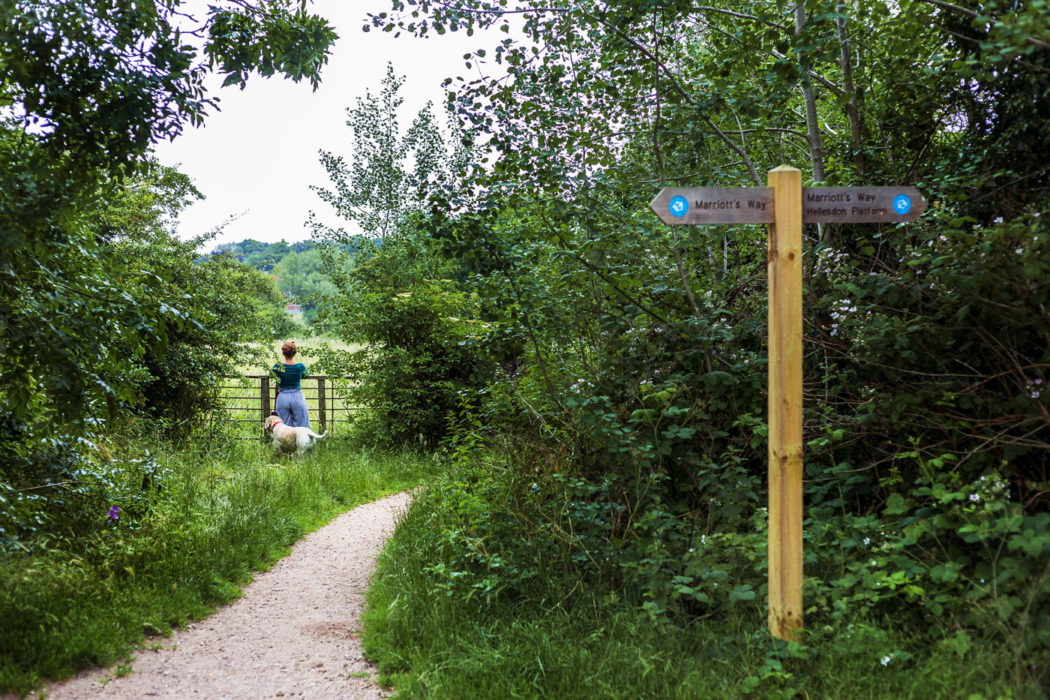 The Best Walks in Norwich and Norfolk - Visit Norwich