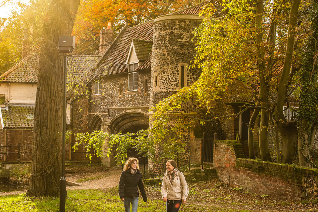Things to look forward to in Norwich & Norfolk - Visit Norwich