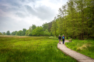 The Best Walks in Norwich and Norfolk - Visit Norwich