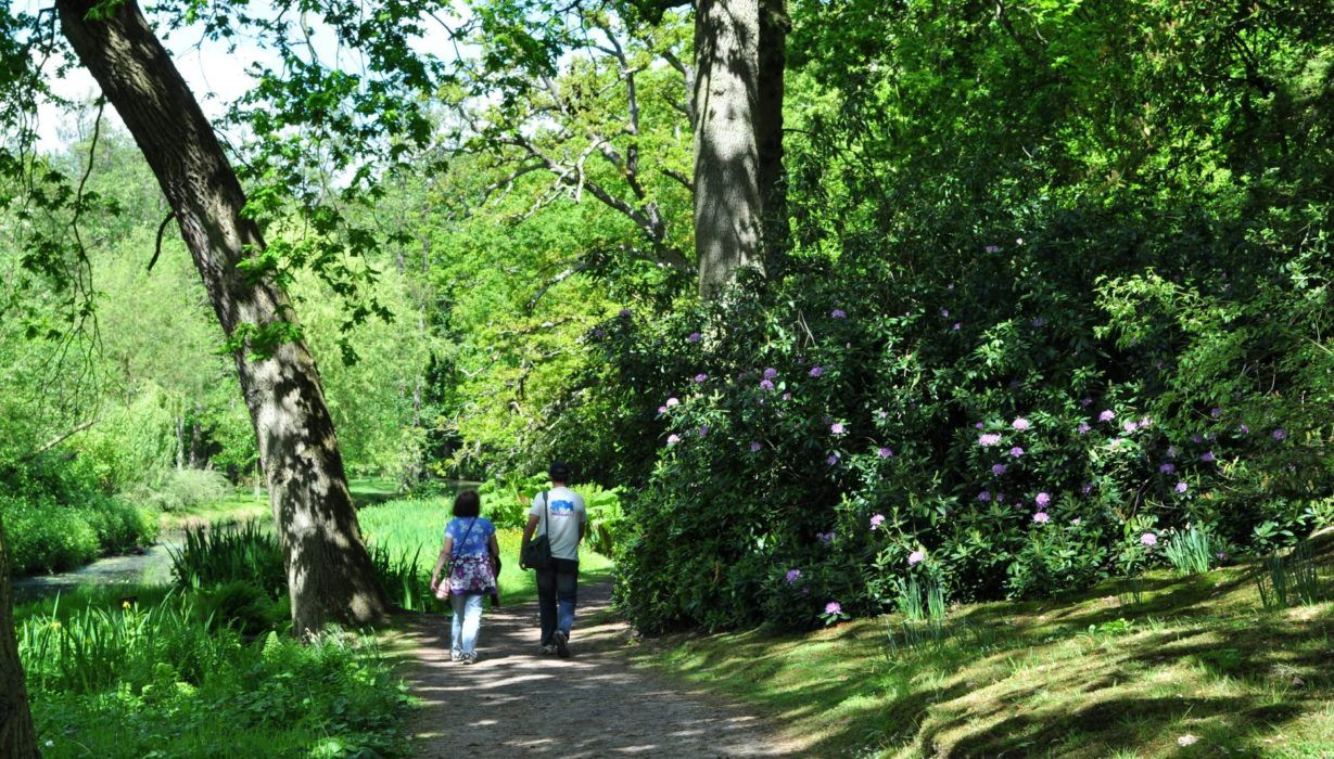 The Best Walks in Norwich and Norfolk - Visit Norwich
