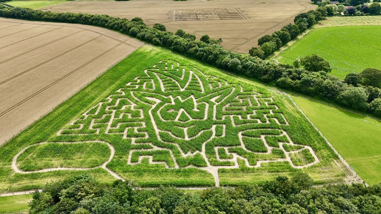 Things to Do in Norfolk for Families This Summer - Visit Norwich