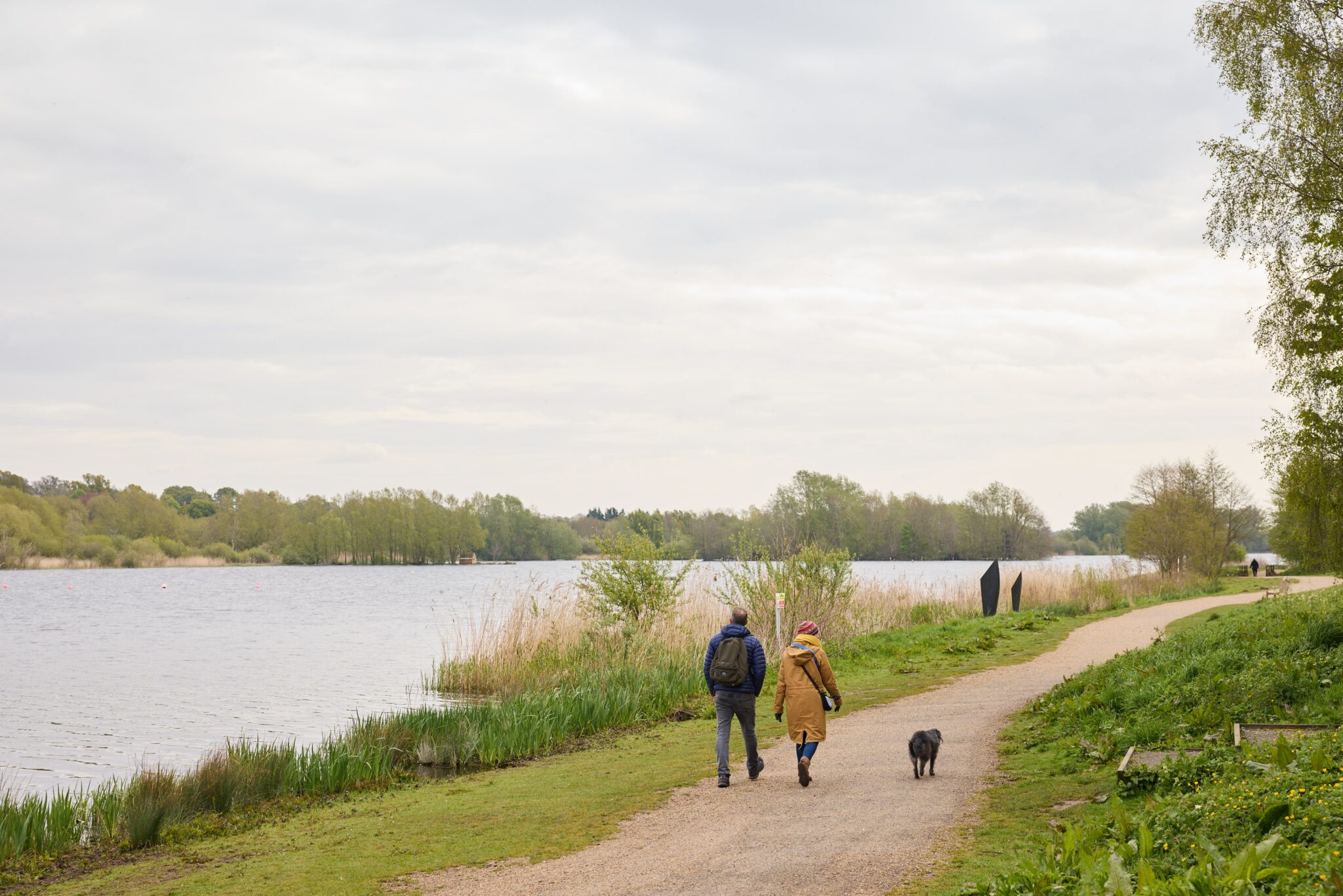 The Best Walks in Norwich and Norfolk - Visit Norwich