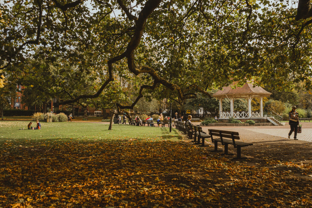 What to Do in Norwich in Autumn - Visit Norwich