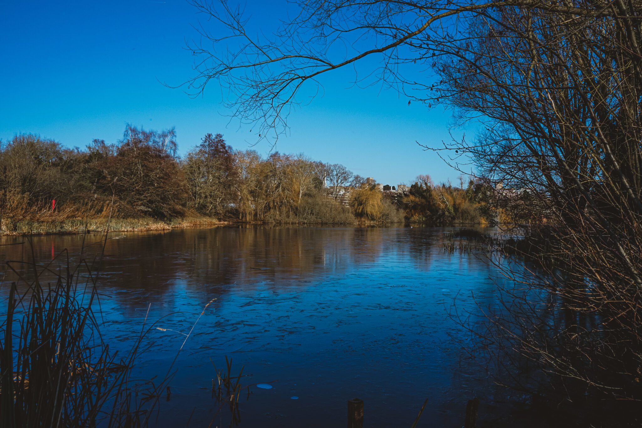 The Best Walks in Norwich and Norfolk - Visit Norwich