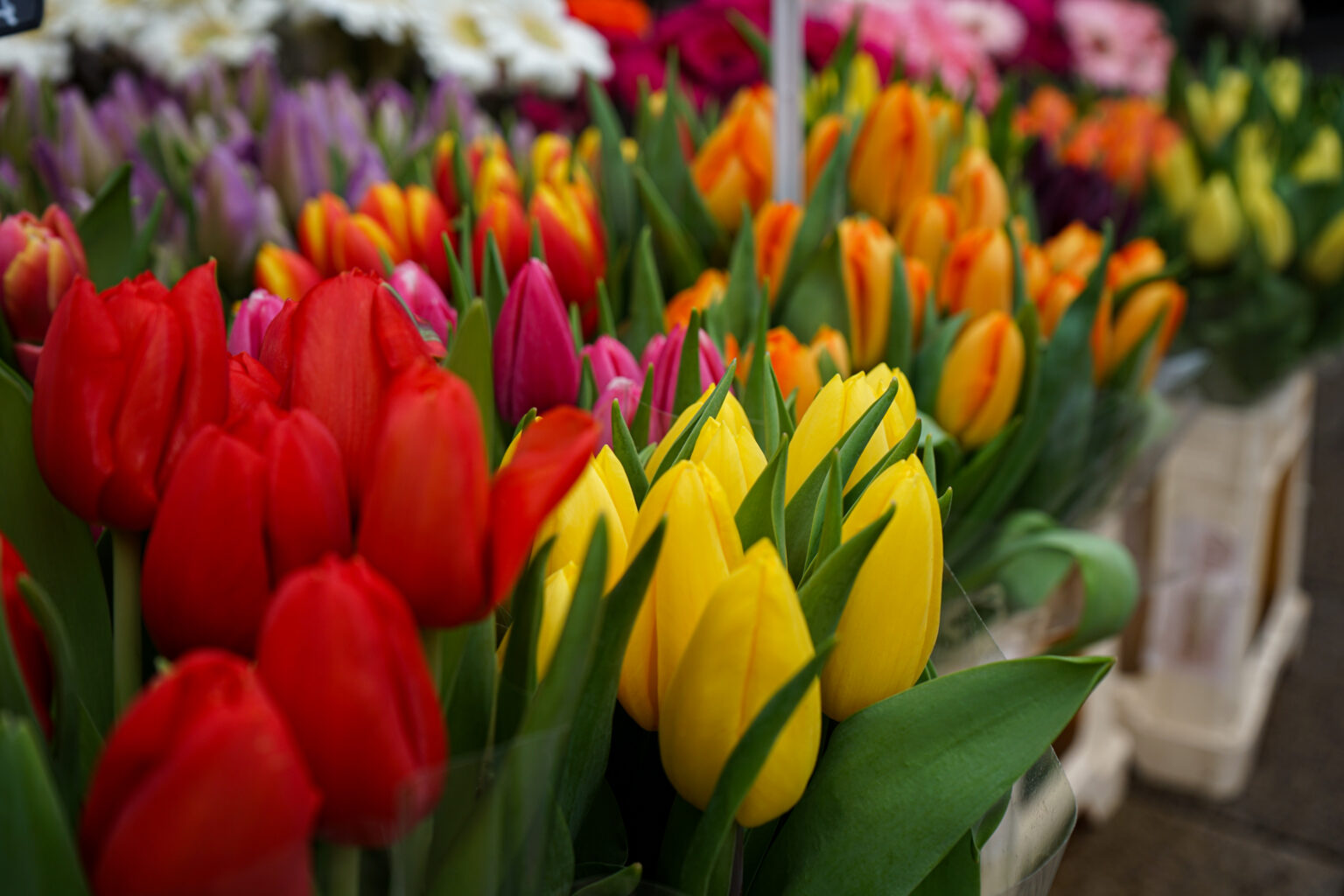 A Guide to Norwich Market - Visit Norwich