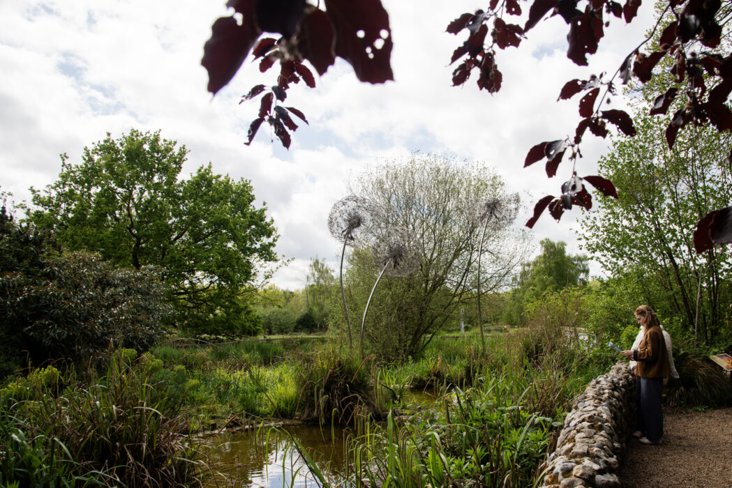 The Best Outdoor Activities in Norwich and Norfolk - Visit Norwich