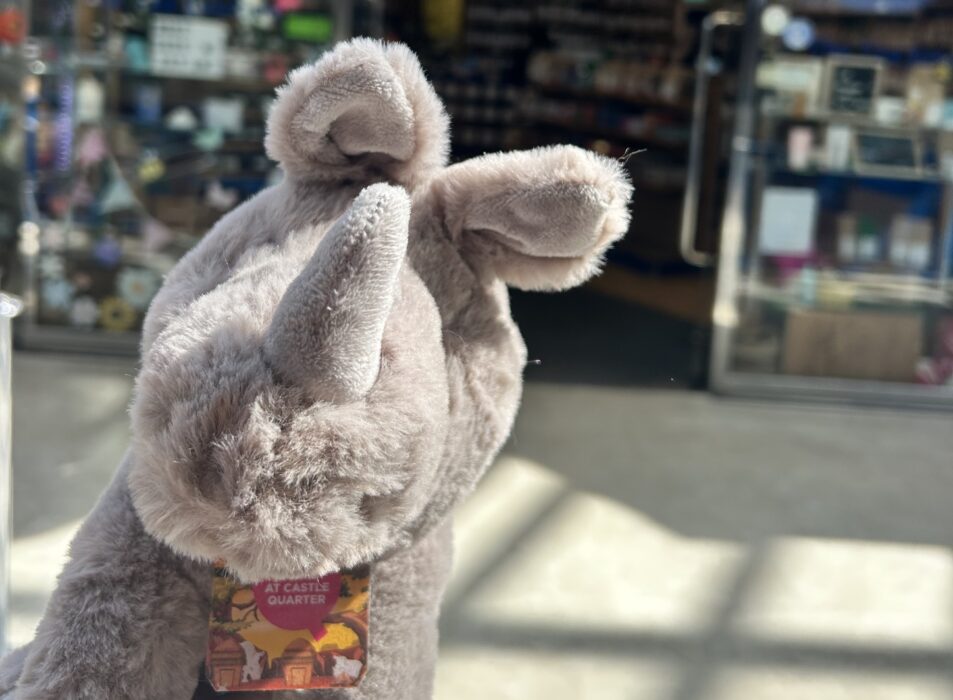 Things to Do in Norwich for Families This Summer - Visit Norwich